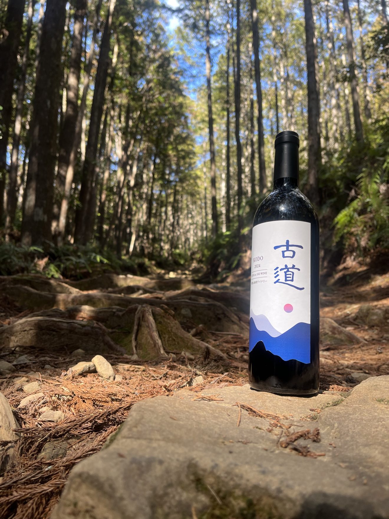 世界遺産・熊野古道で採取された酵母から醸造！和歌山湯浅ワイナリー「古道-KODO-2024」を発売！ – 日本ワイン.jp